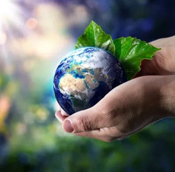 Healthy 100, CellPlus